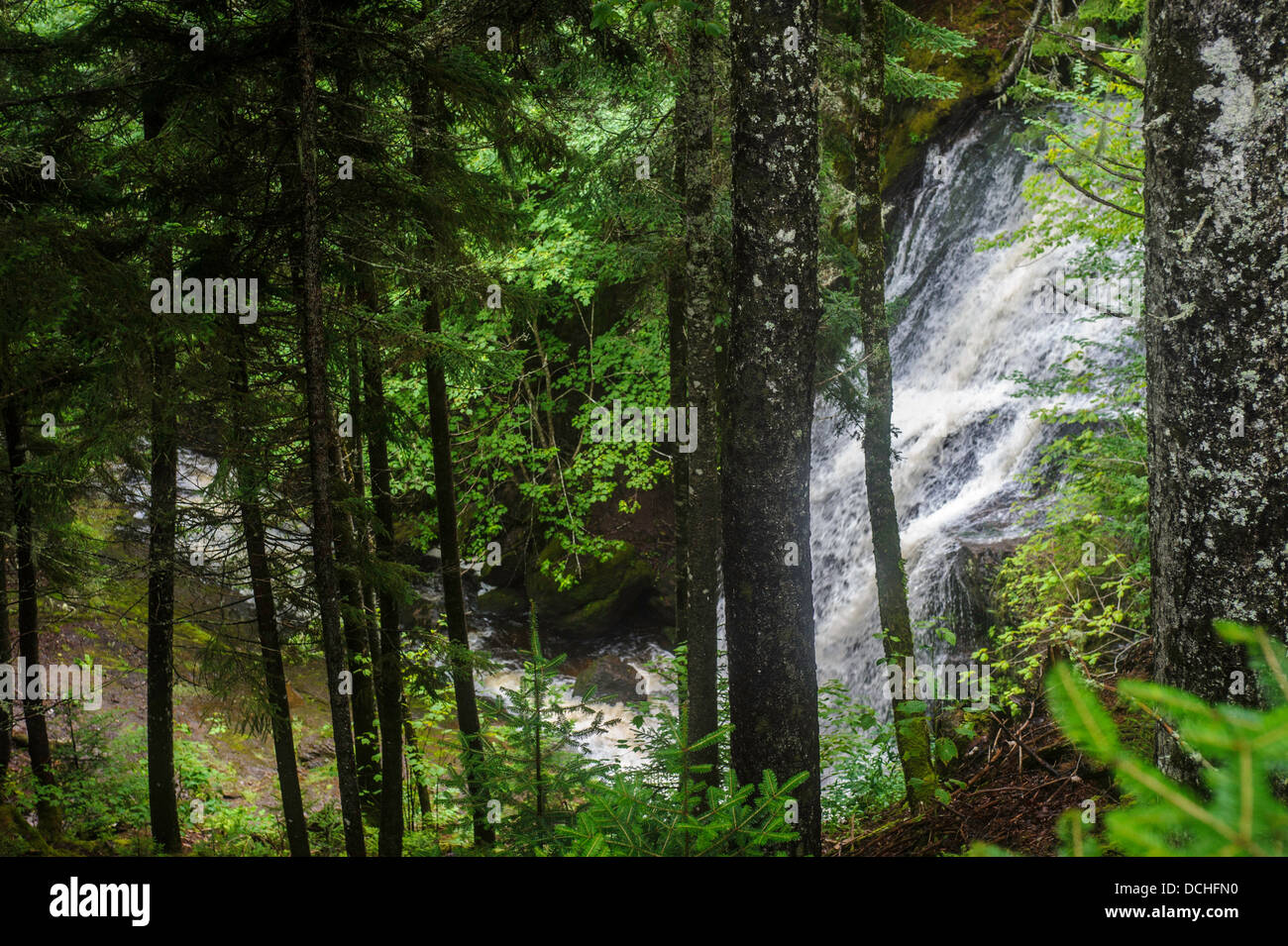 Fuller falls hi-res stock photography and images - Alamy