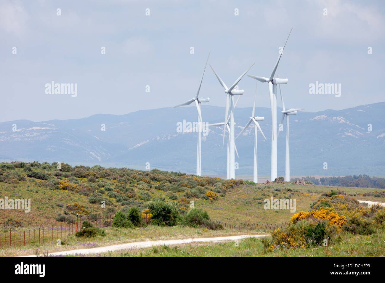 Wind energy - wind turbines making electricity (Cadiz county, southern ...
