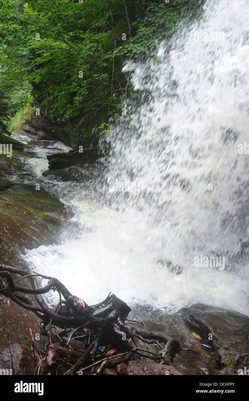 Fuller Falls at Fundy Trail New Brunswick Stock Photo - Alamy