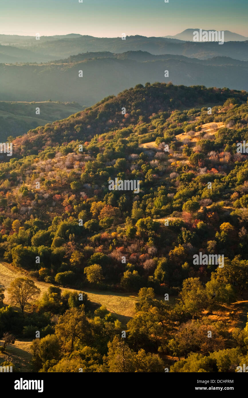 Morning light on tree covered hillside on the western slope of the ...