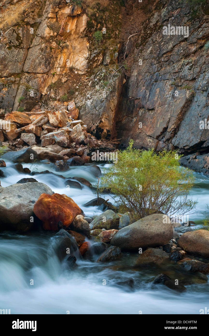 Kings river hi-res stock photography and images - Alamy