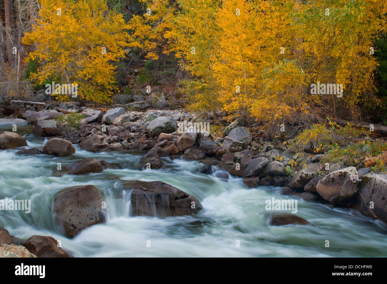 Kings River California Stock Photos & Kings River California Stock ...