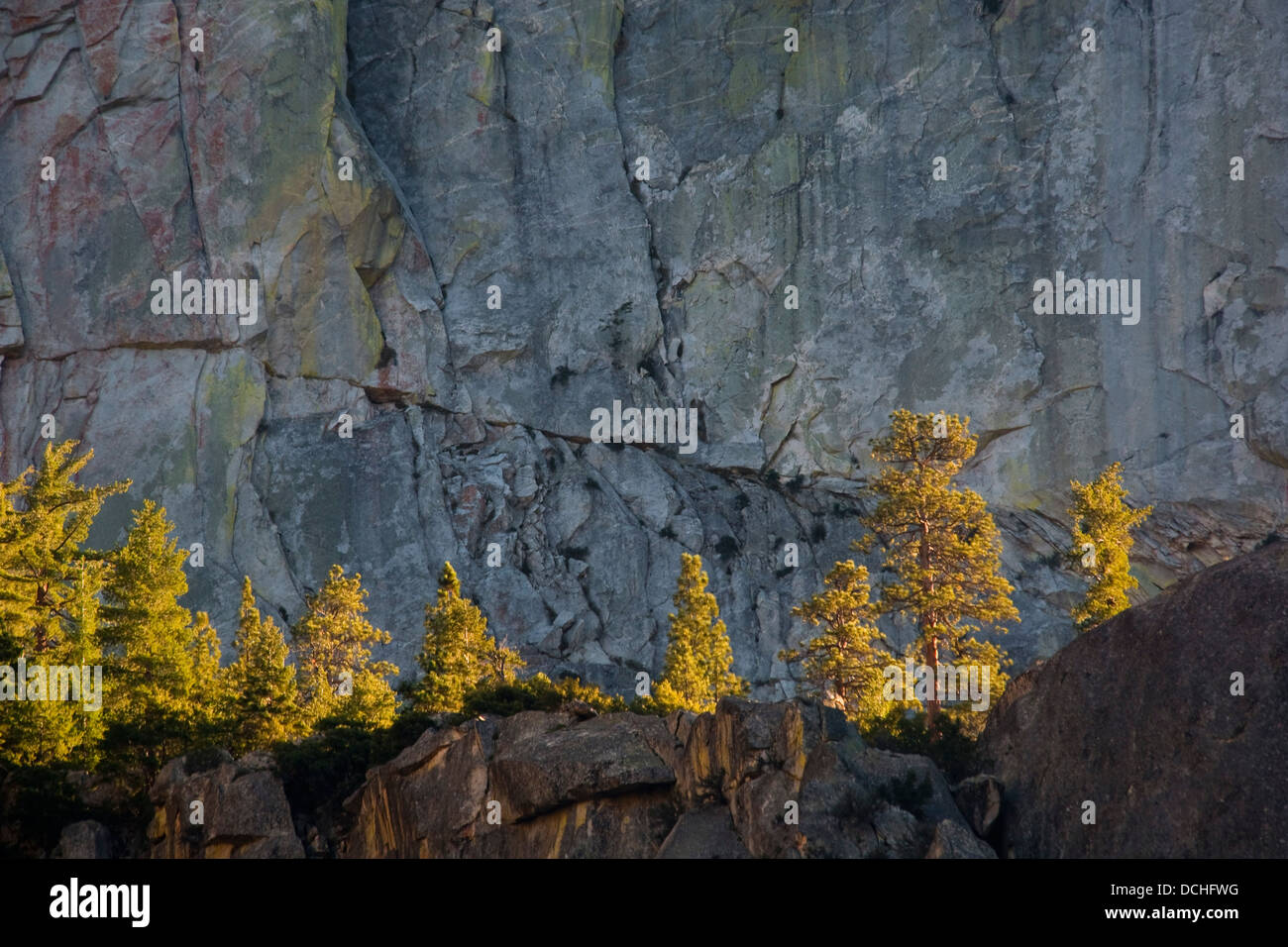 Rock cliff and trees hi-res stock photography and images - Alamy