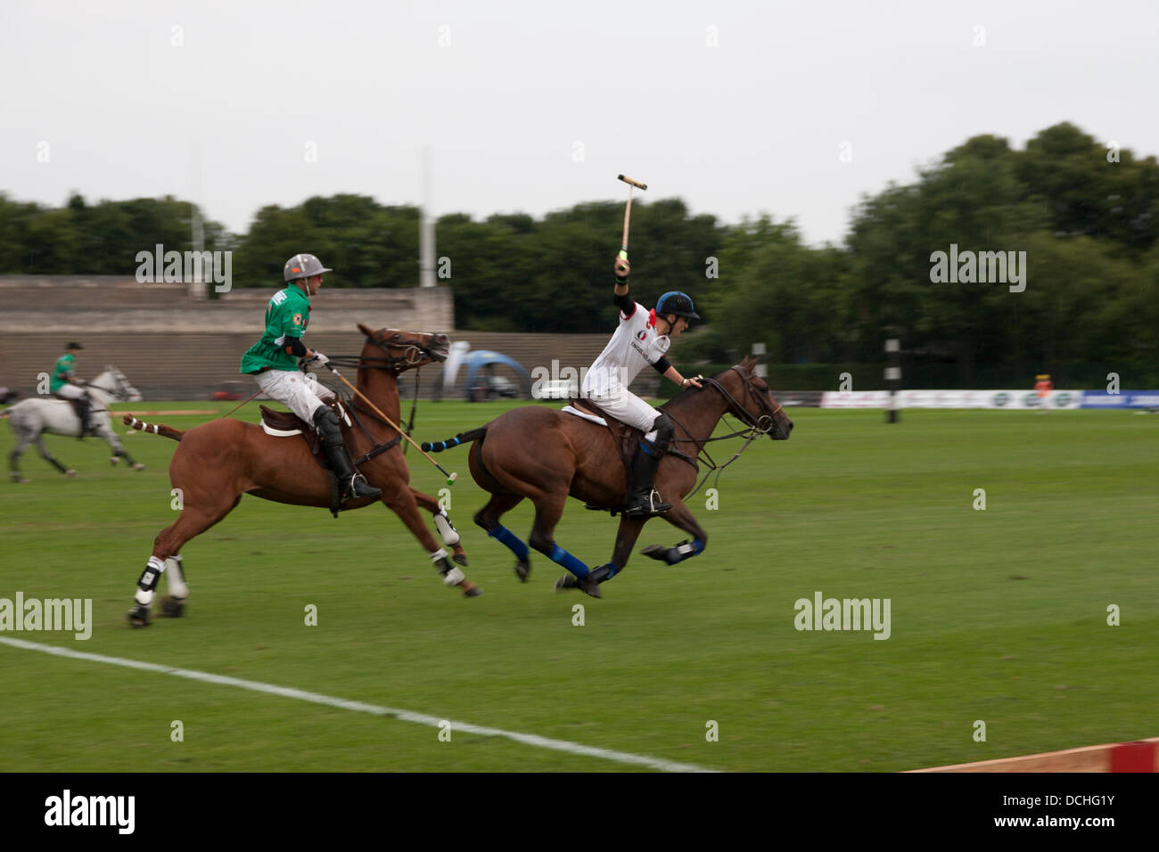 Polo horse hi-res stock photography and images - Alamy