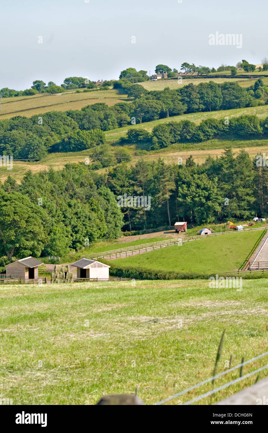 Portrait view of Bakewell countryside UK. with a few shed buildings ...