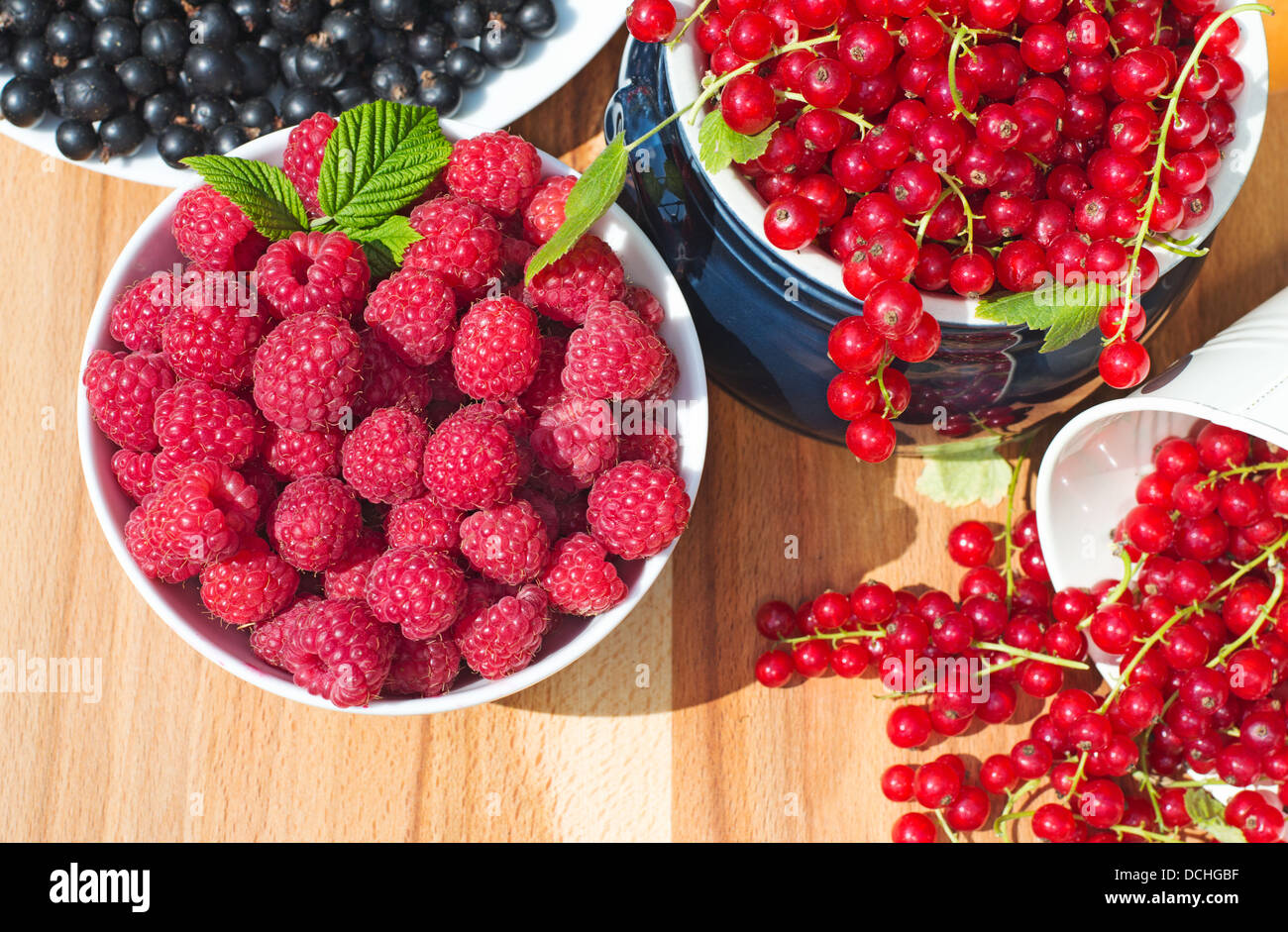 Delicious fresh Raspberry, Black and Red Currant with vibrant green ...