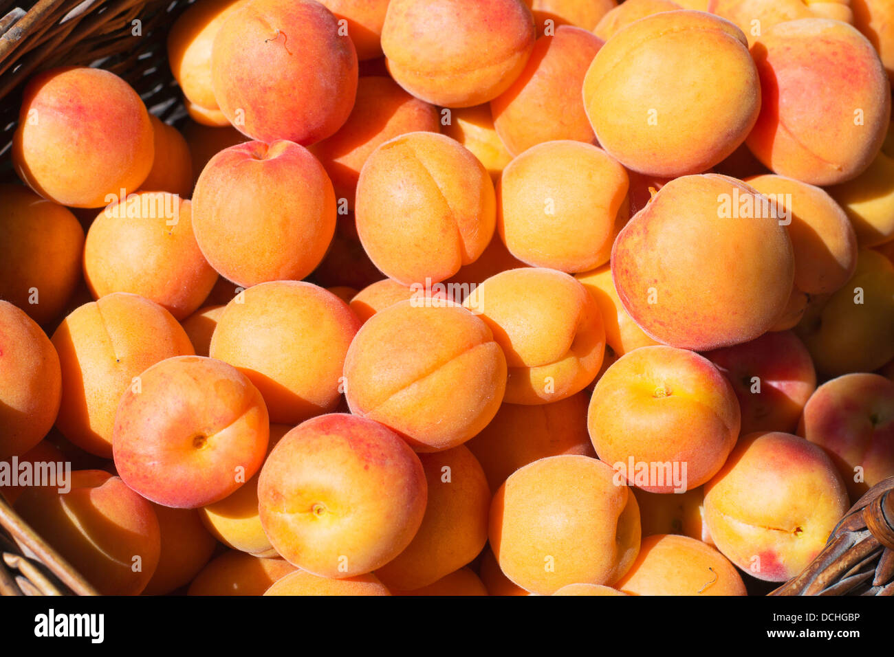 Detail of delicious fresh apricots in basket. Shallow DOF Stock Photo ...
