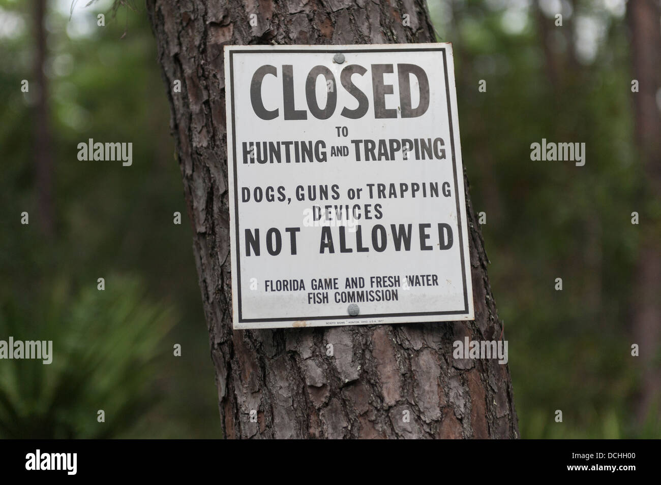 Ocala, Florida National Forest No hunting, trapping posted warning sign ...