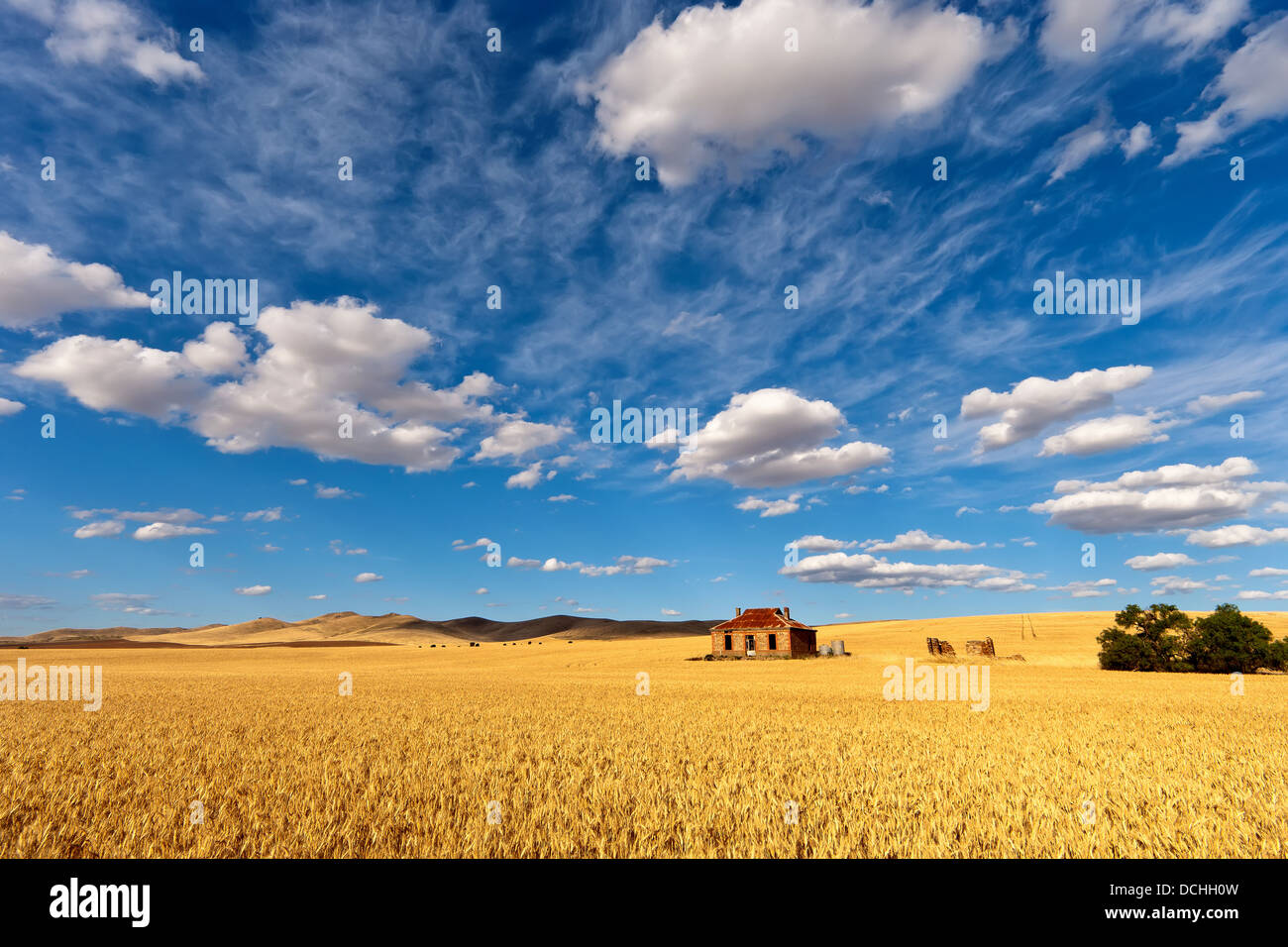 Old abandoned farm house homestead sits derelict in the middle of a ...