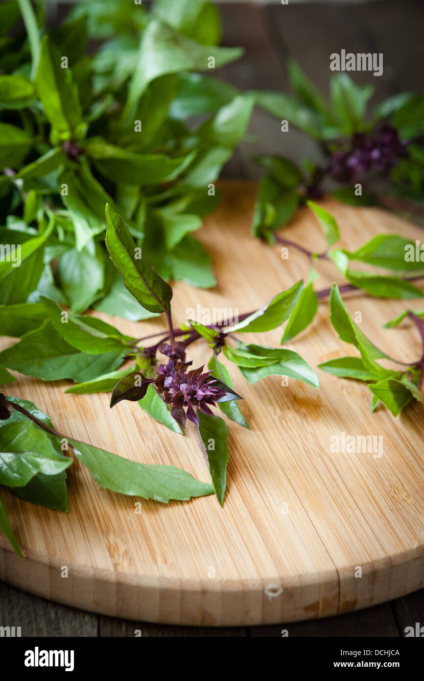 flowering sprigs of basil on a cutting board, food close up Stock Photo ...