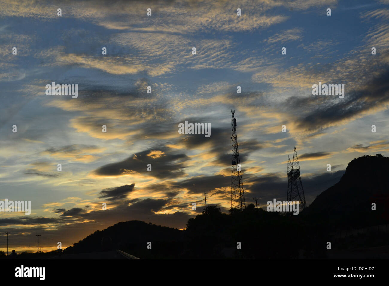 Nature's colour codes!!! Stock Photo - Alamy