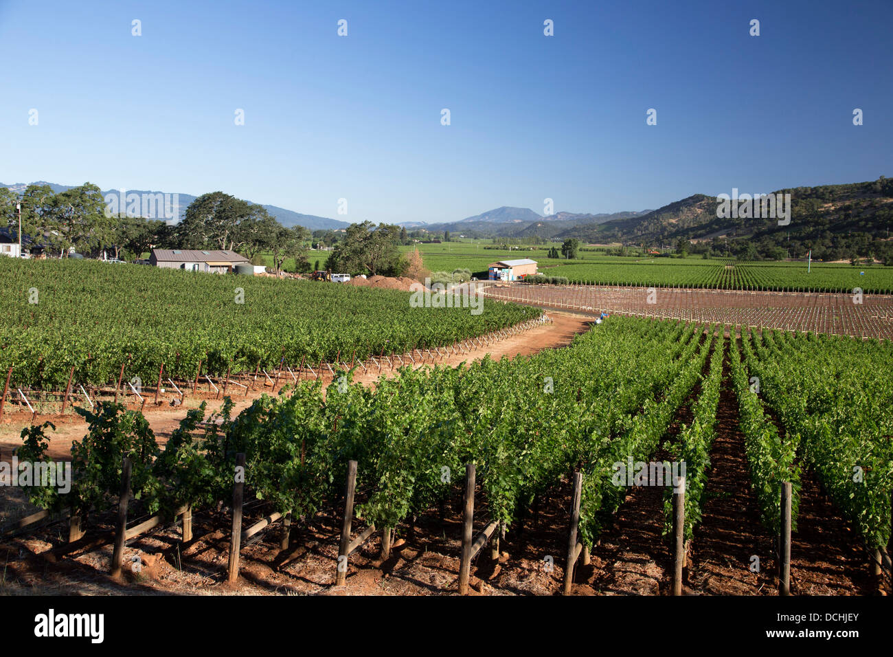 Napa Valley Vineyard Views Stock Photo - Alamy