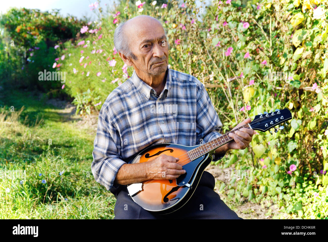 Senior man playing mandolin outside on the green background Stock Photo ...