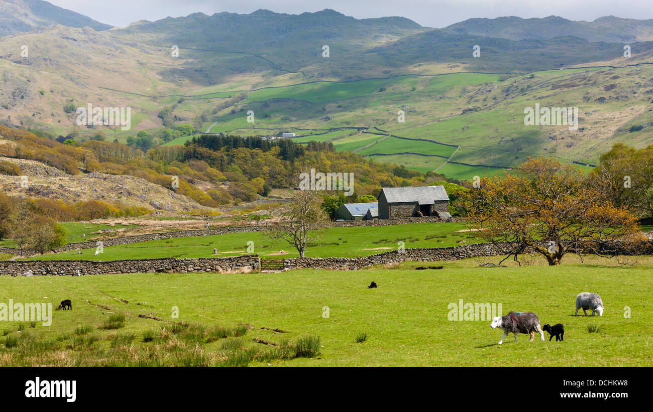 Cumbrian landscape near Ulpha in the Lake District National Park ...