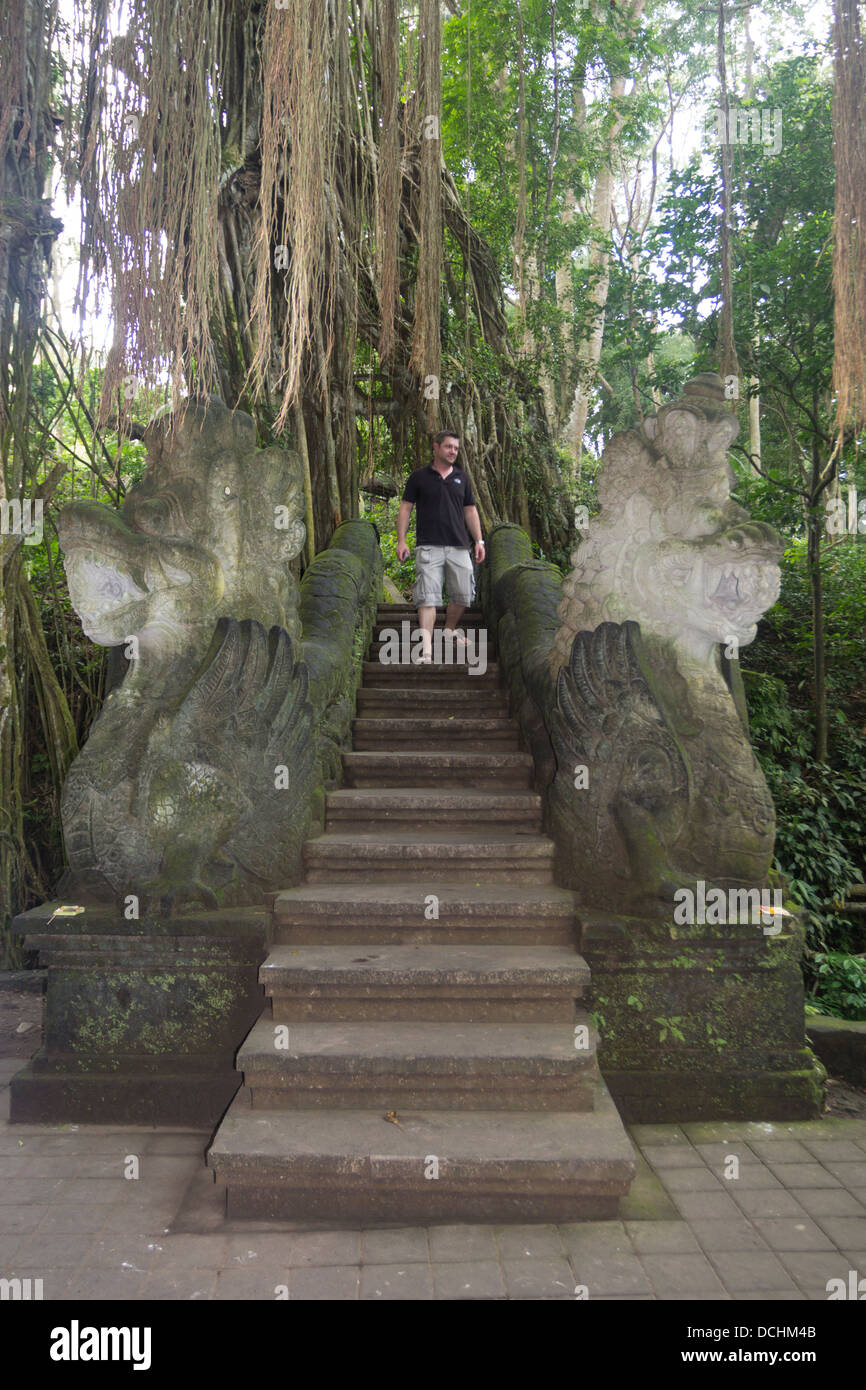 Monkey steps hi-res stock photography and images - Alamy