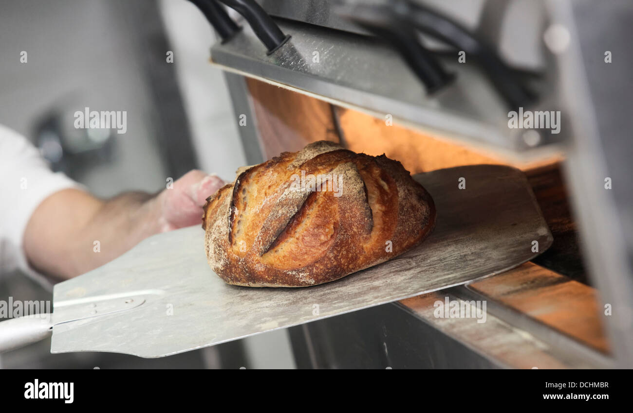 Freshly baked bread in an electric oven Stock Photo - Alamy