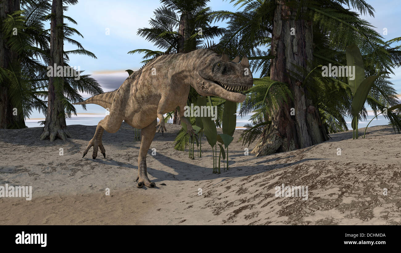 Ceratosaurus hunting in a prehistoric environment Stock Photo - Alamy