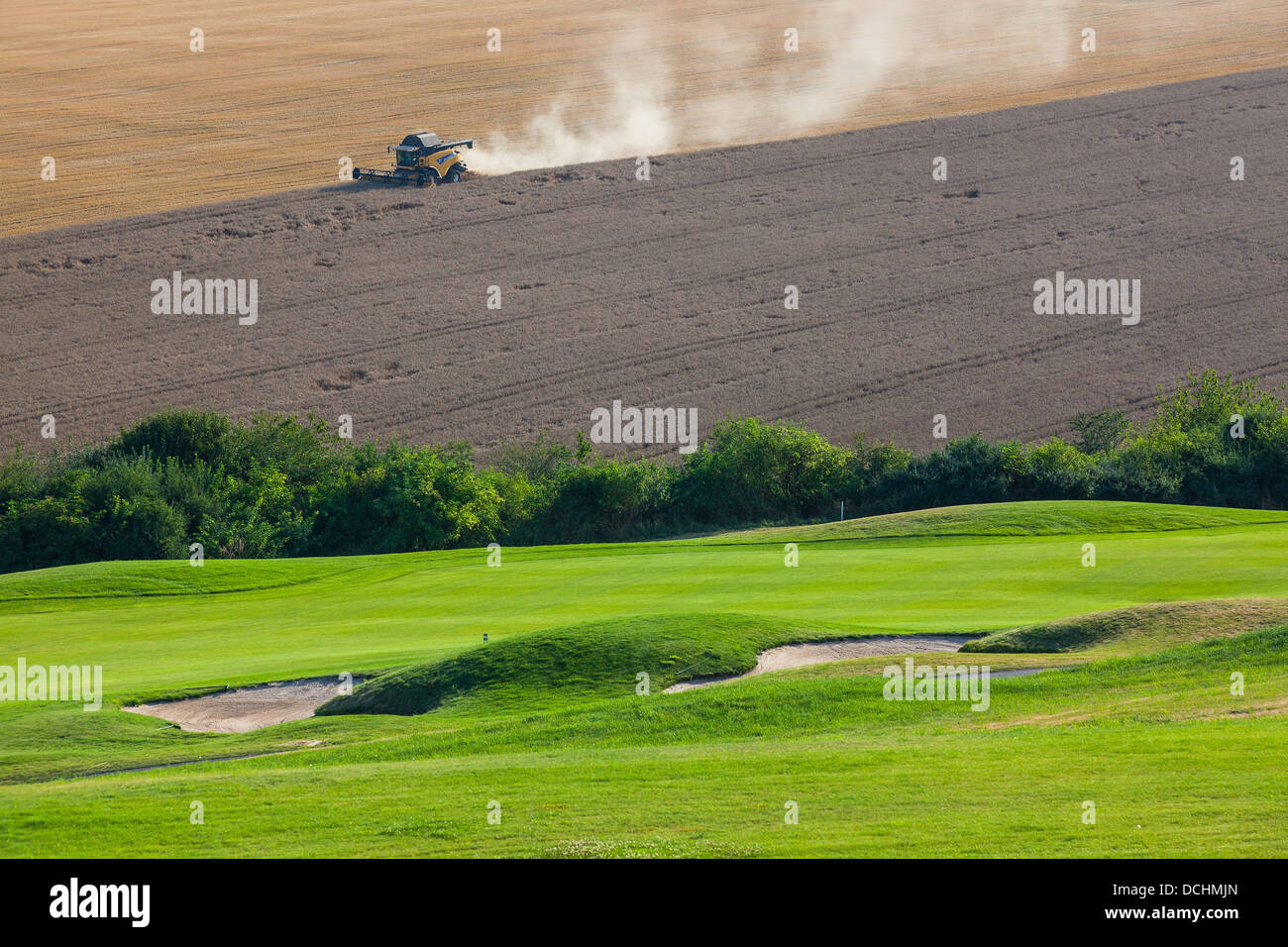 Harvest in a field next to a golf course Stock Photo - Alamy