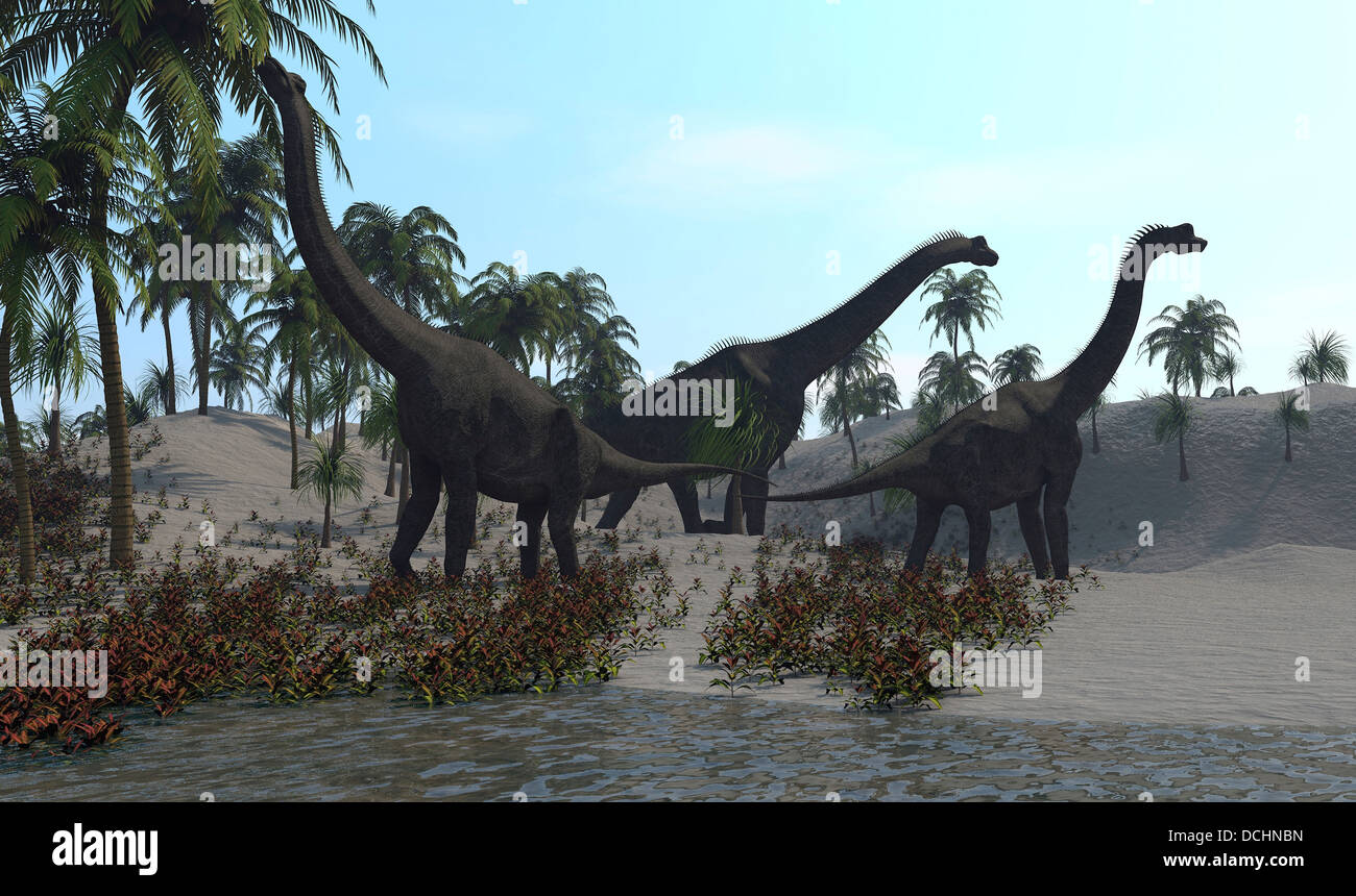Brachiosaurus grazing hi-res stock photography and images - Alamy