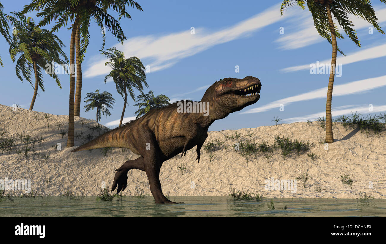 Tyrannosaurus Rex hunting in shallow water Stock Photo - Alamy