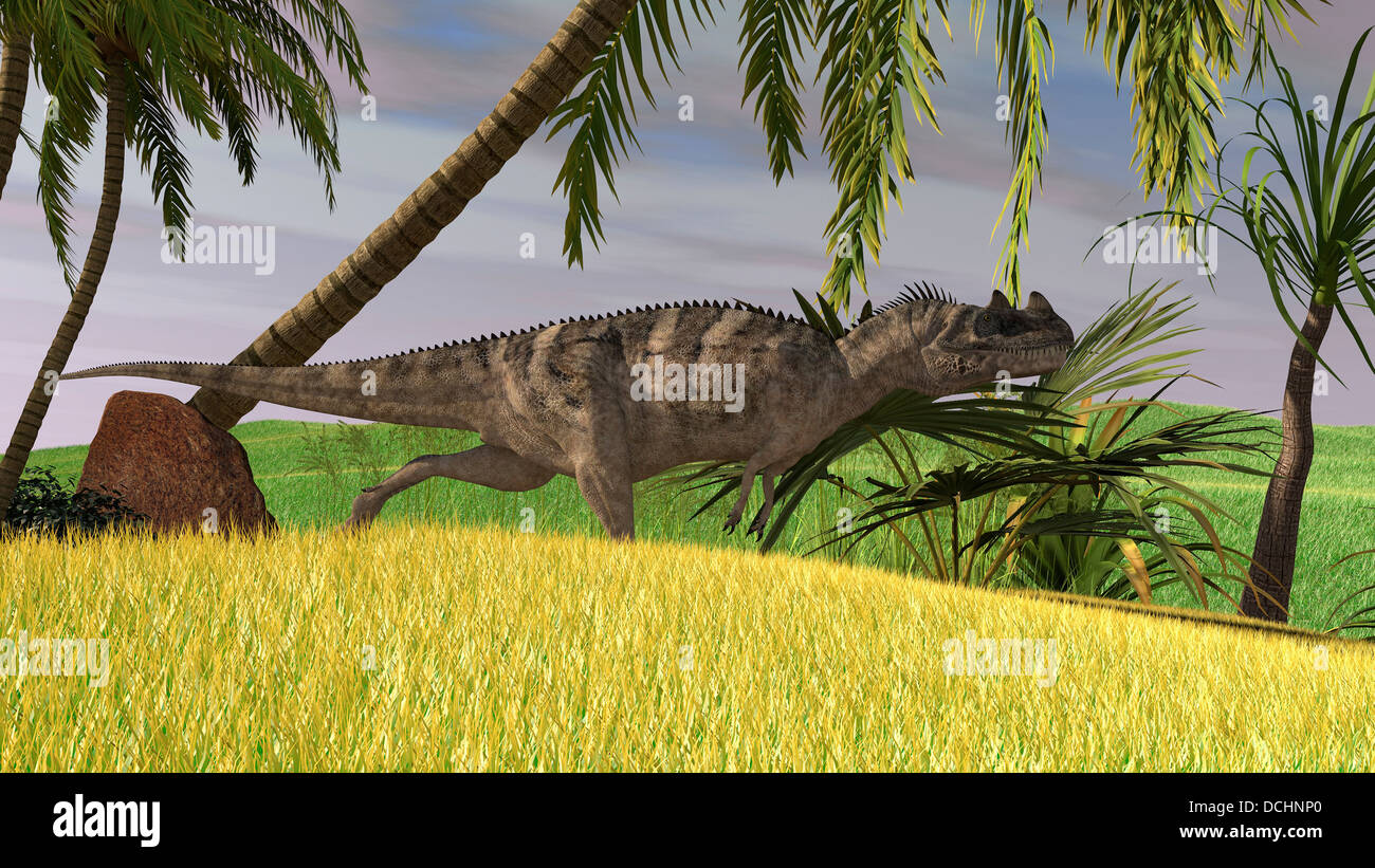 Ceratosaurus hunting in a field Stock Photo - Alamy