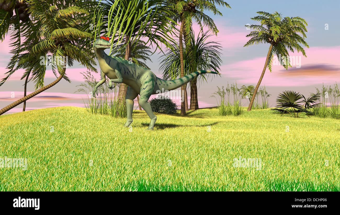 Dilophosaurus hunting in a field for its next meal Stock Photo - Alamy