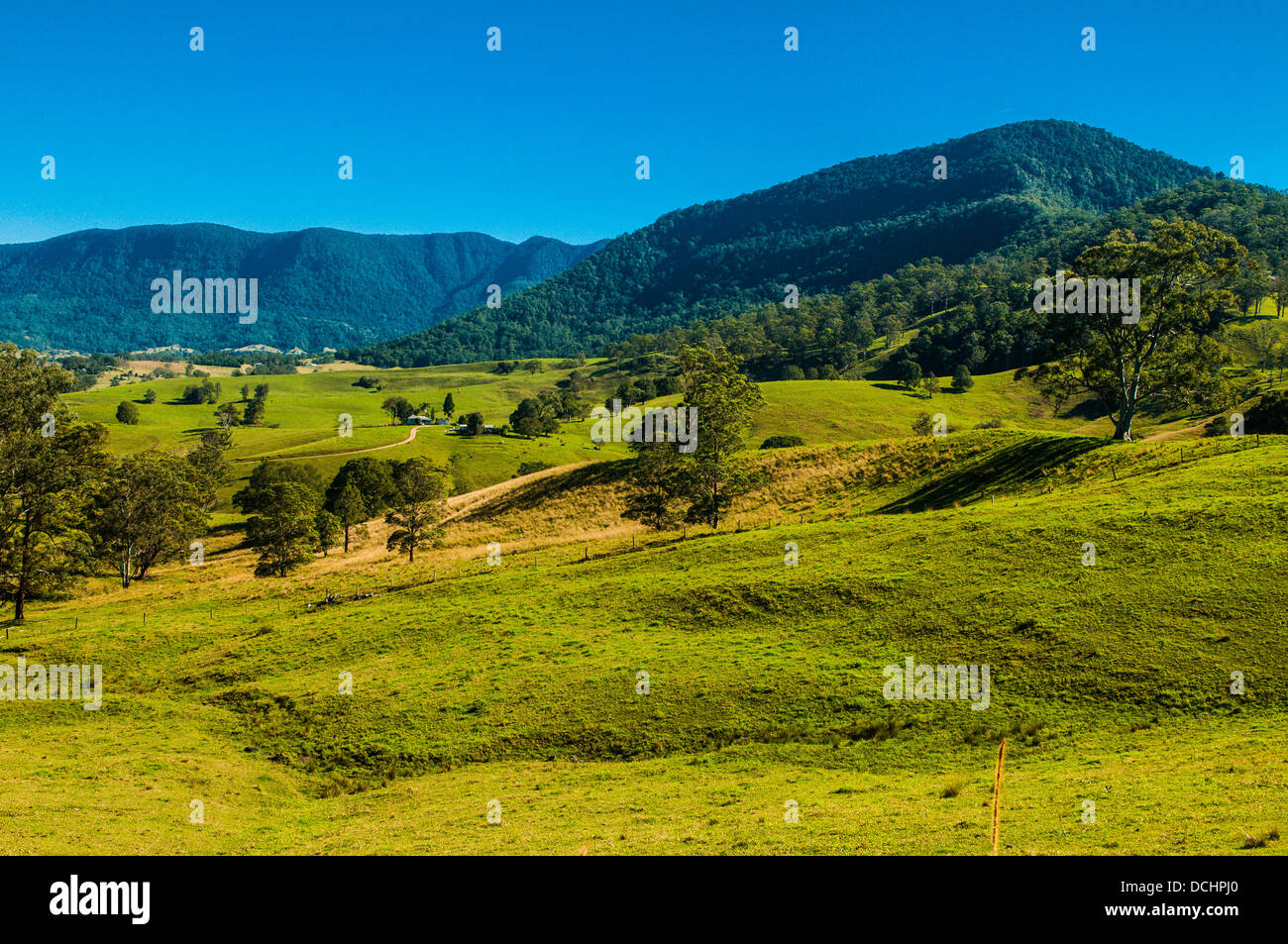 Scenic Rim area of NSW, Australia Stock Photo - Alamy