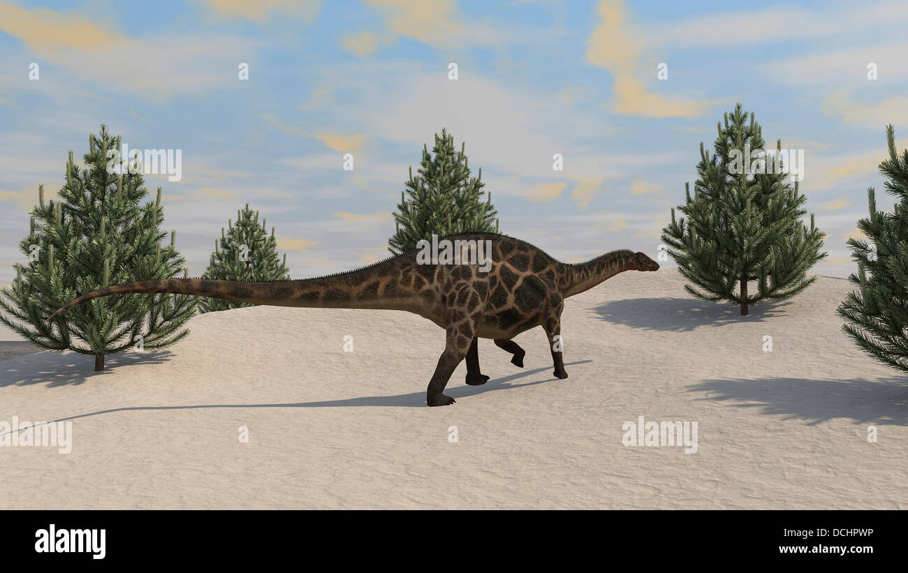 Dicraeosaurus walking in a prehistoric environment with pine trees ...