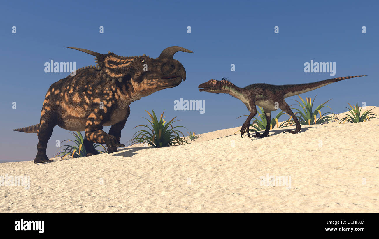 Brown Einiosaurus and a Utahraptor confront each other face-to-face ...