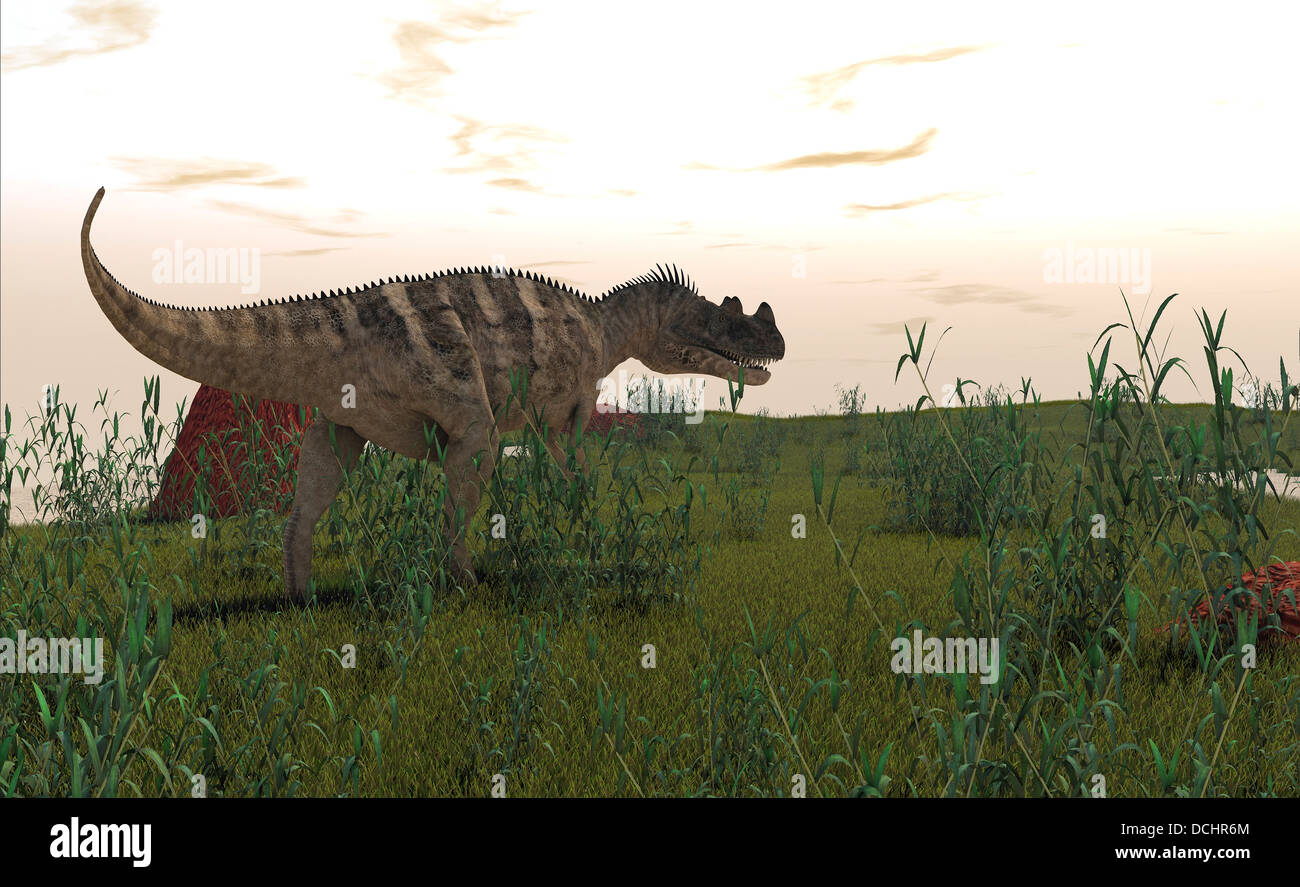 Ceratosaurus hunting in prehistoric grasslands Stock Photo - Alamy