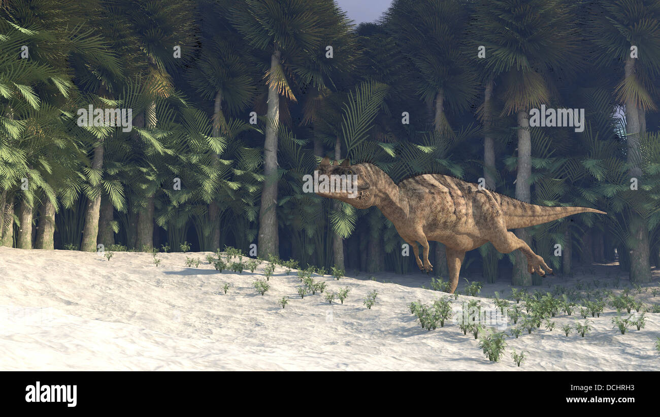 Ceratosaurus hunting in a prehistoric environment Stock Photo - Alamy