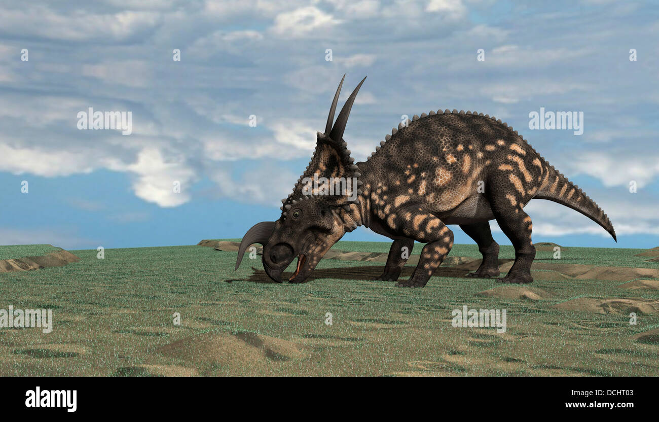 Dicraeosaurus grazing an open field Stock Photo - Alamy