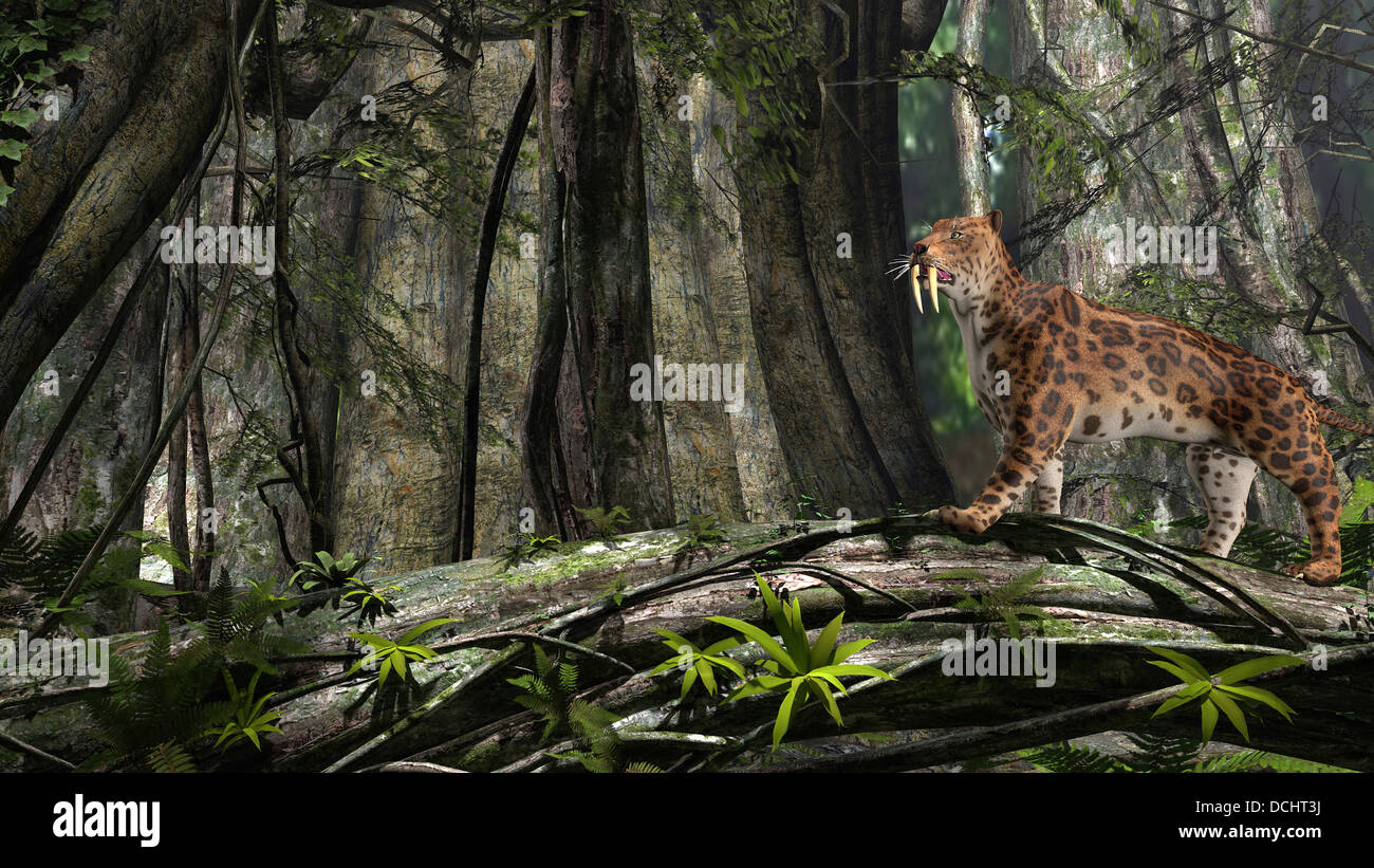 Saber tooth tiger prehistoric hi-res stock photography and images - Alamy