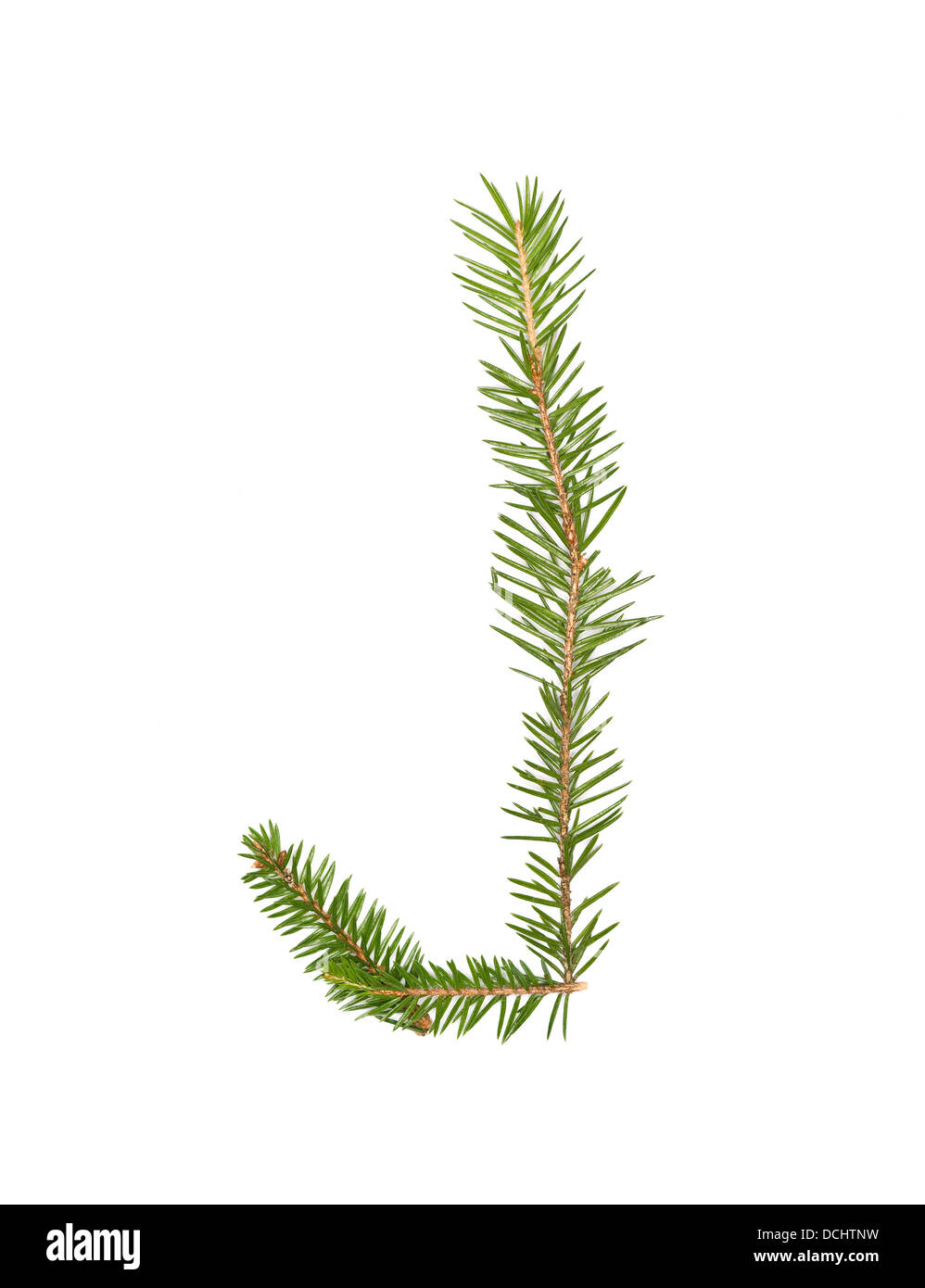 Spruce twigs forming the letter 'J' Stock Photo - Alamy