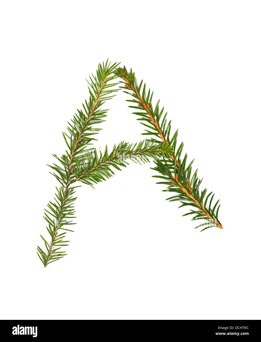 Forming a tree Cut Out Stock Images & Pictures - Alamy