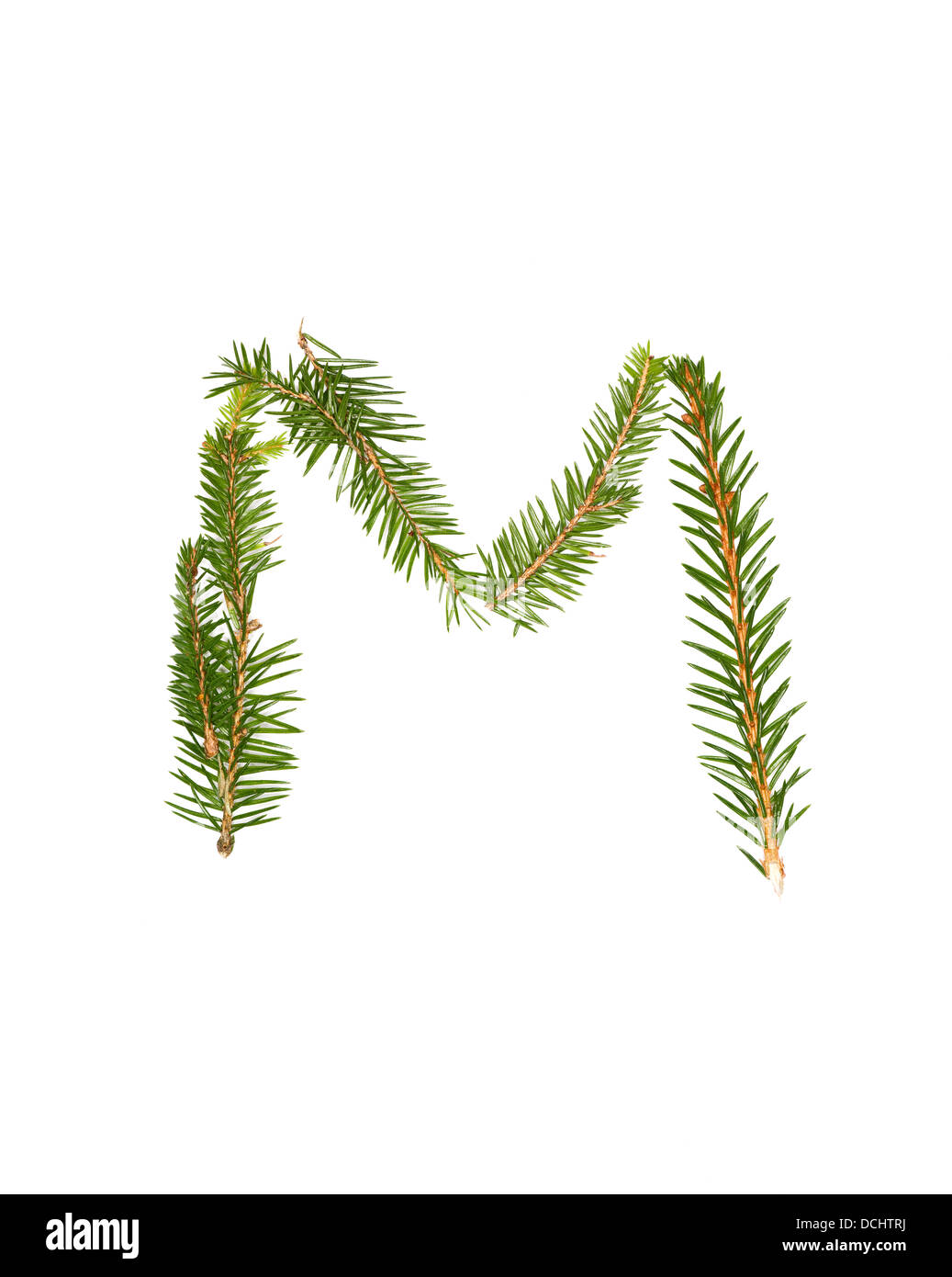 Spruce m hi-res stock photography and images - Alamy