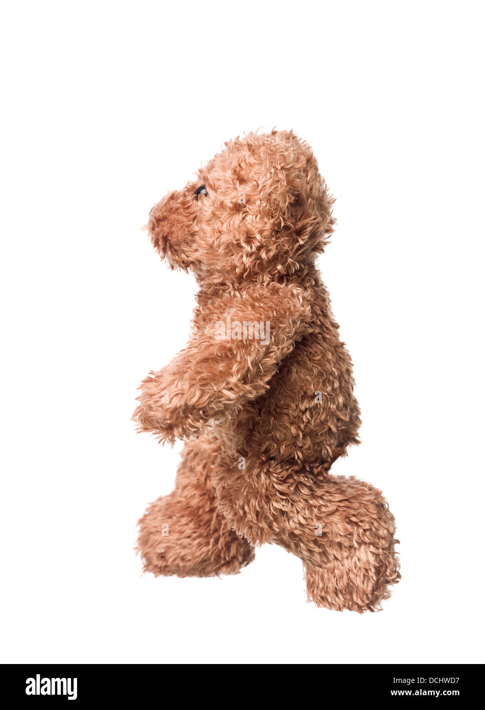 Teddy bear front view Cut Out Stock Images & Pictures - Alamy