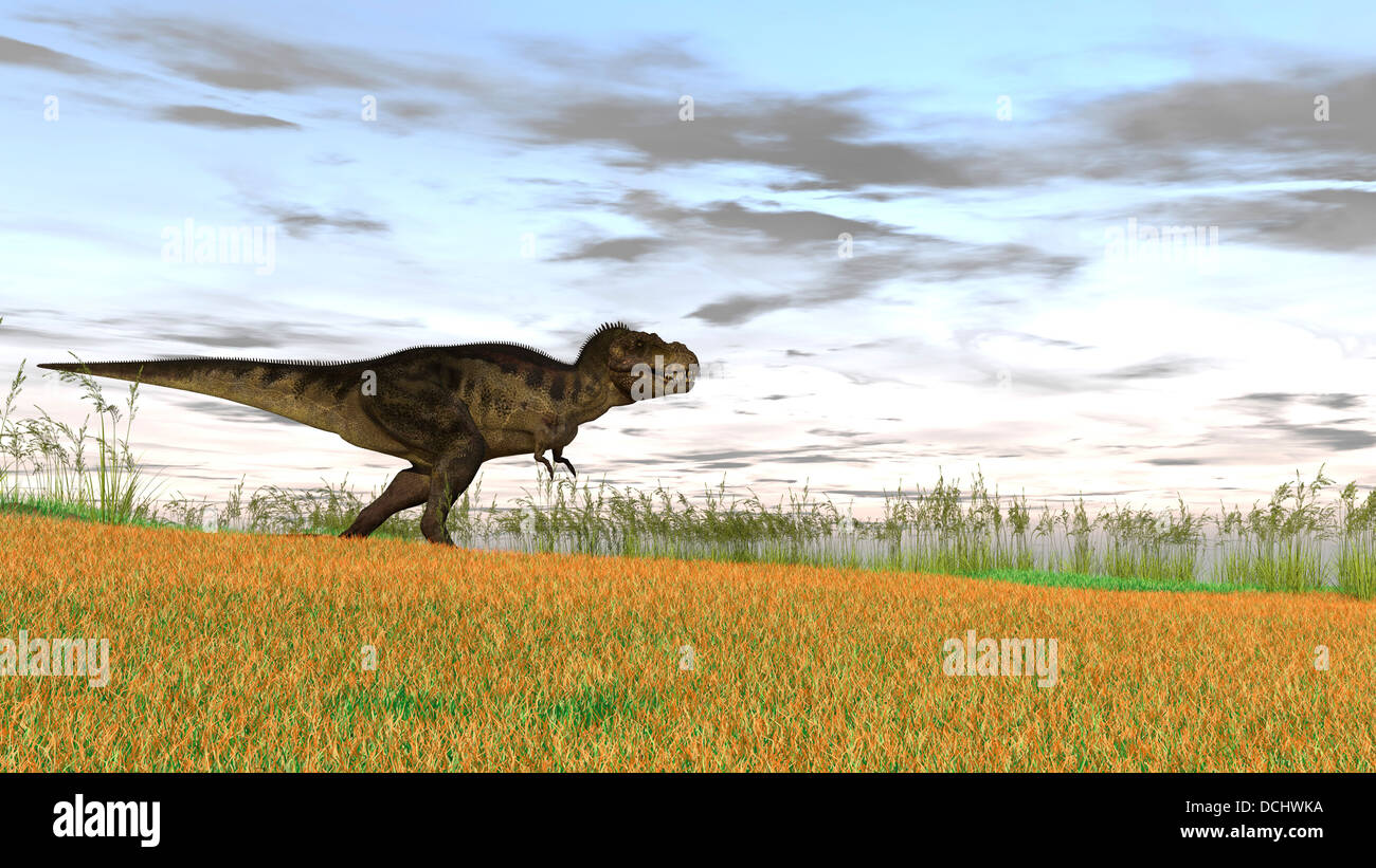 Tyrannosaurus Rex in a grassy field Stock Photo - Alamy