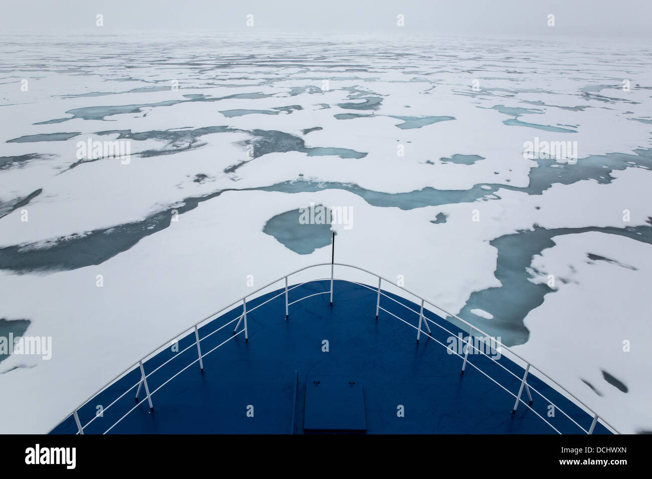 Arctic bug hi-res stock photography and images - Alamy