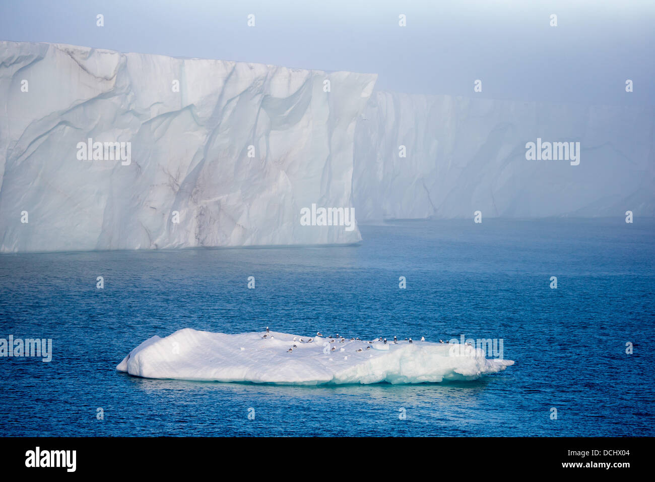 ice cliff in mist Stock Photo - Alamy