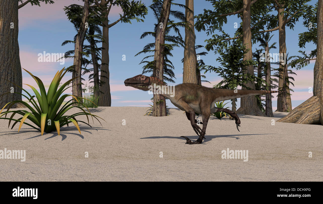 Utahraptor in a prehistoric environment Stock Photo - Alamy