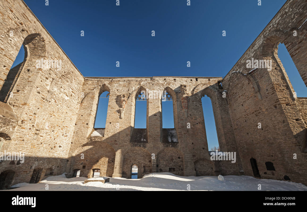 Ruined interior of St. Brigitta convent in Pirita region, Tallinn ...