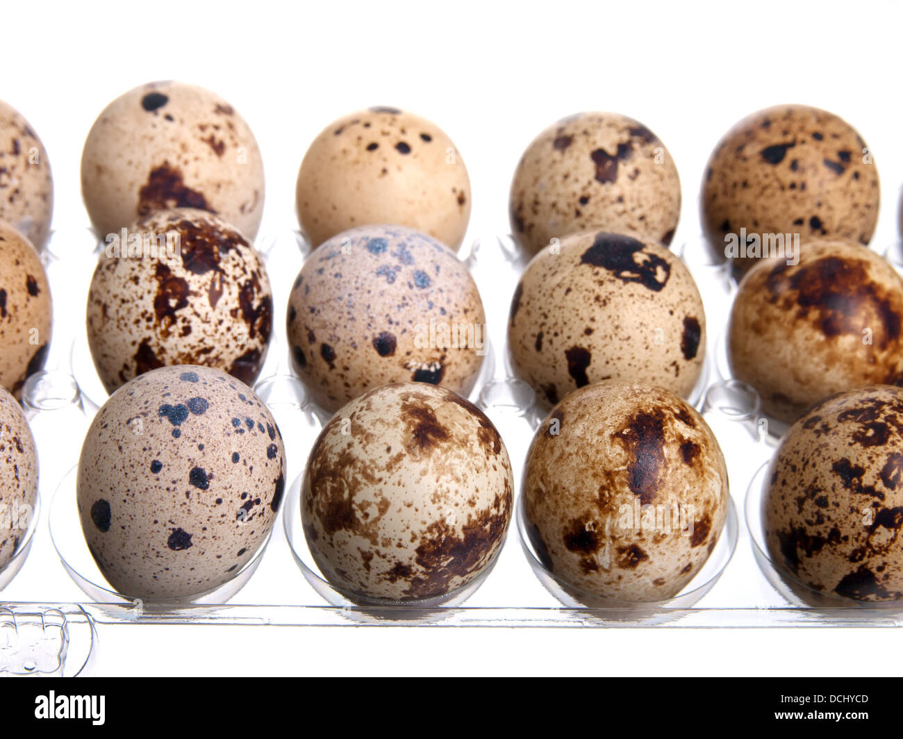 Packing quail eggs Stock Photo - Alamy