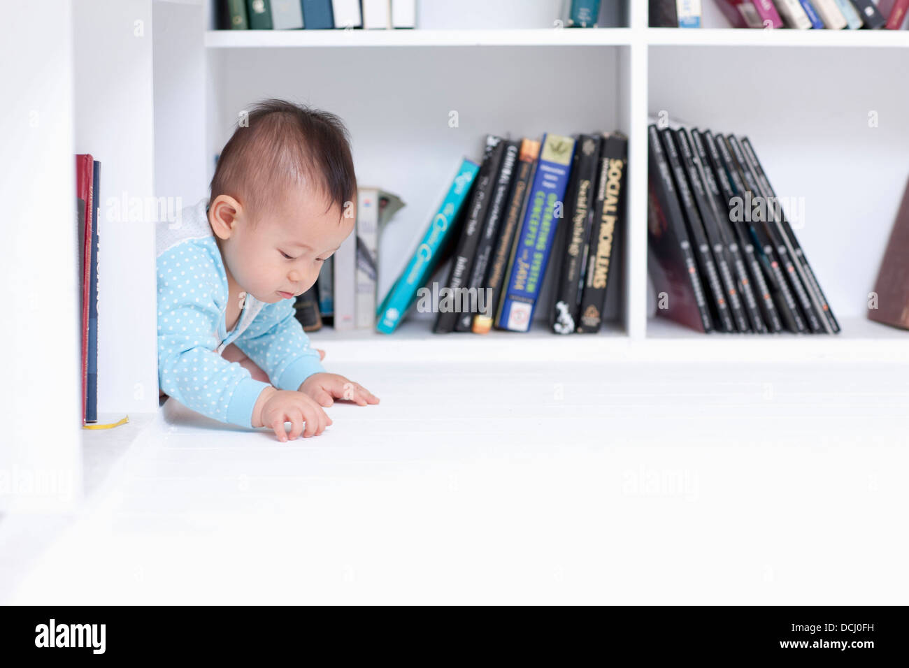 a baby crawling under a desk Stock Photo - Alamy