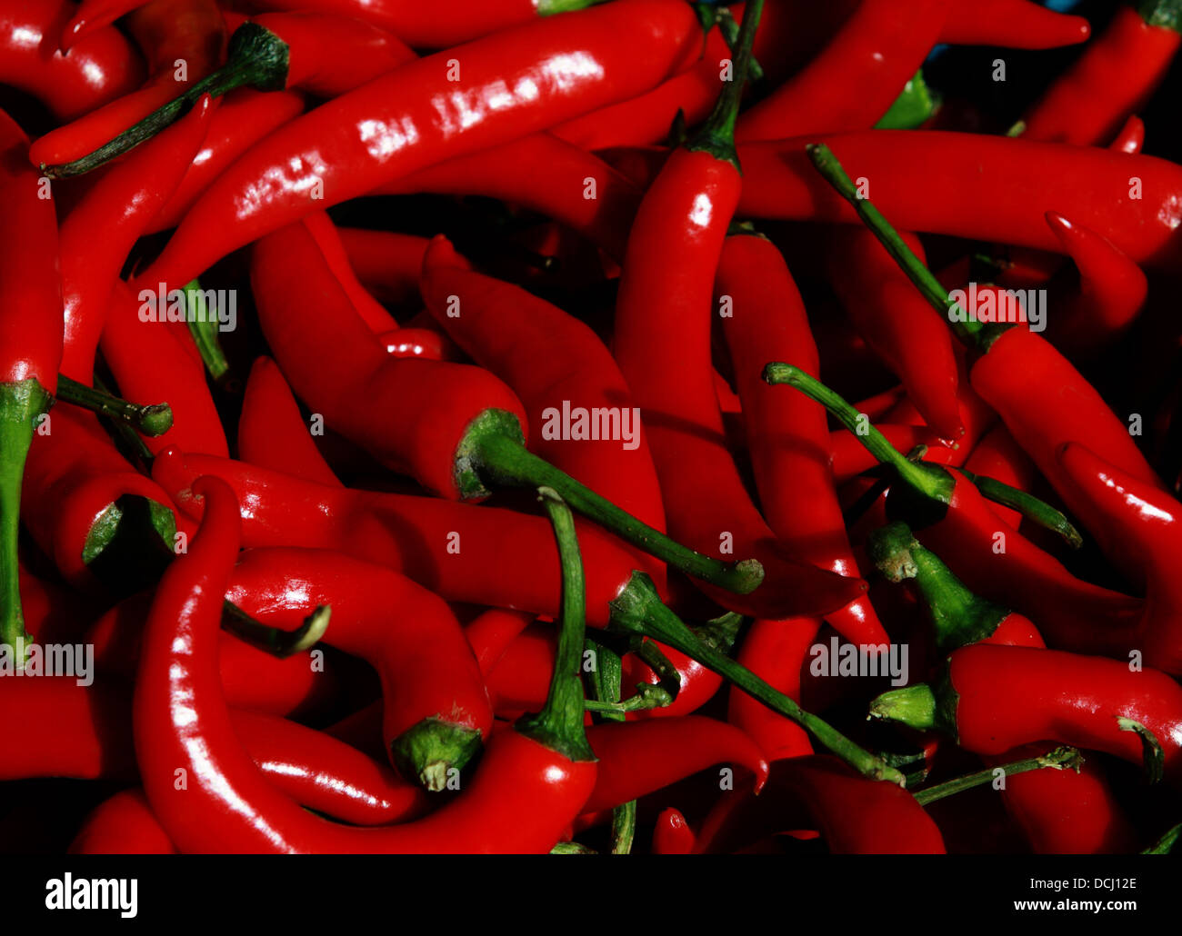 red hot chilli pepper Stock Photo - Alamy