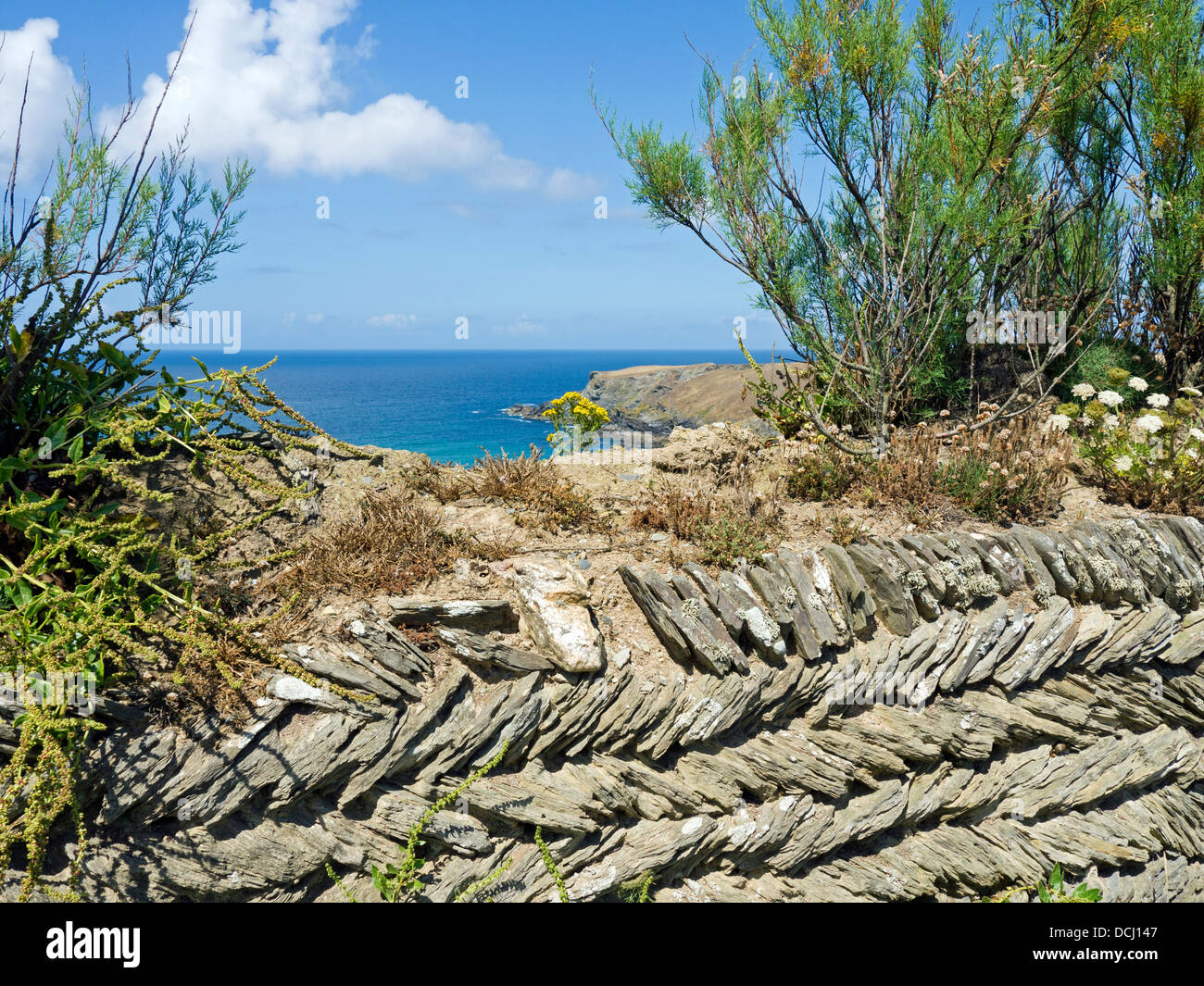 Cornish dry stone walling Stock Photo - Alamy