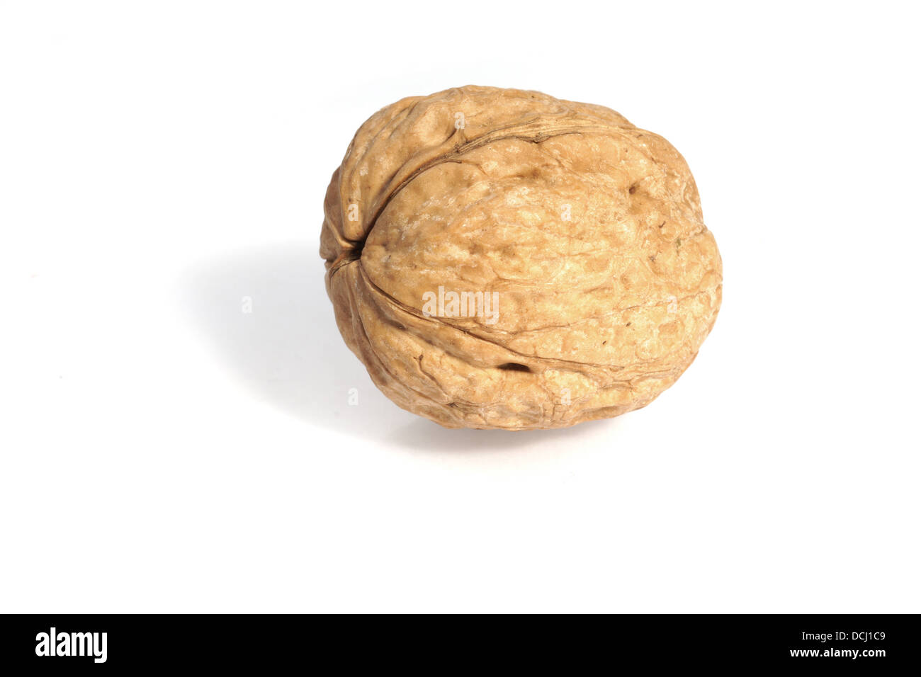 Walnut shadow hi-res stock photography and images - Alamy