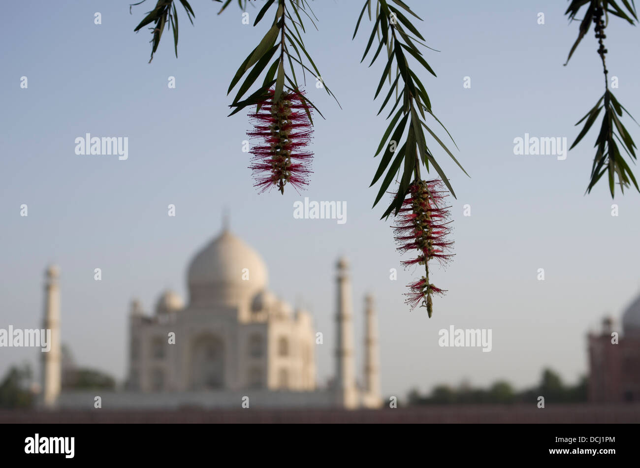 Taj Mahal White Marble Mausoleum - Agra, India a UNESCO World Heritage ...