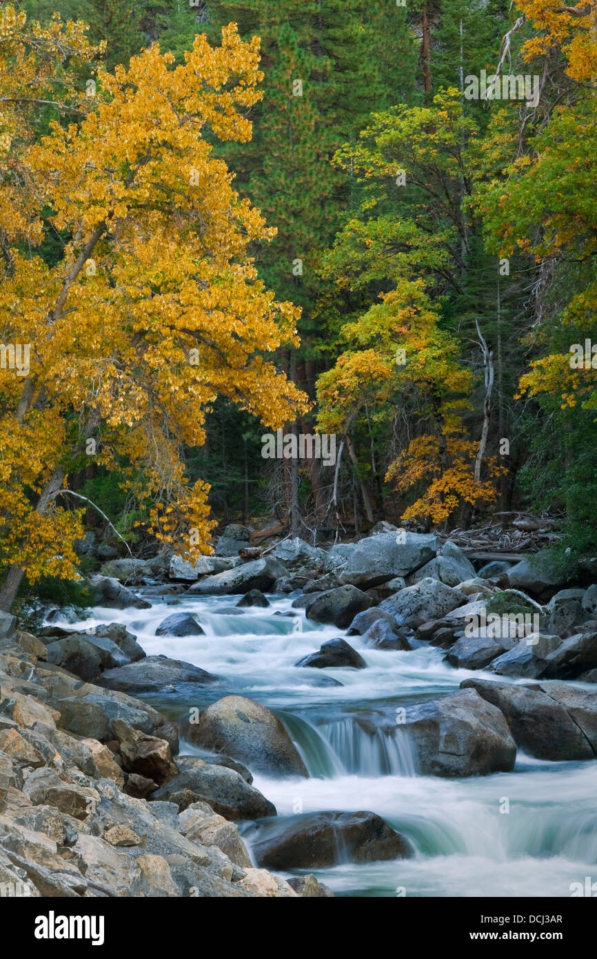 Kings river hi-res stock photography and images - Alamy