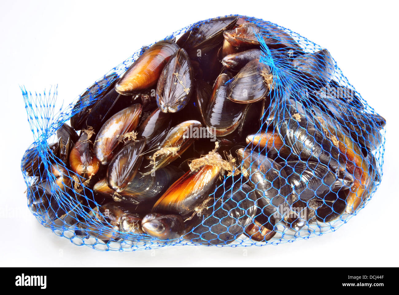 Fresh raw mussel in Cut Out Stock Images & Pictures - Alamy